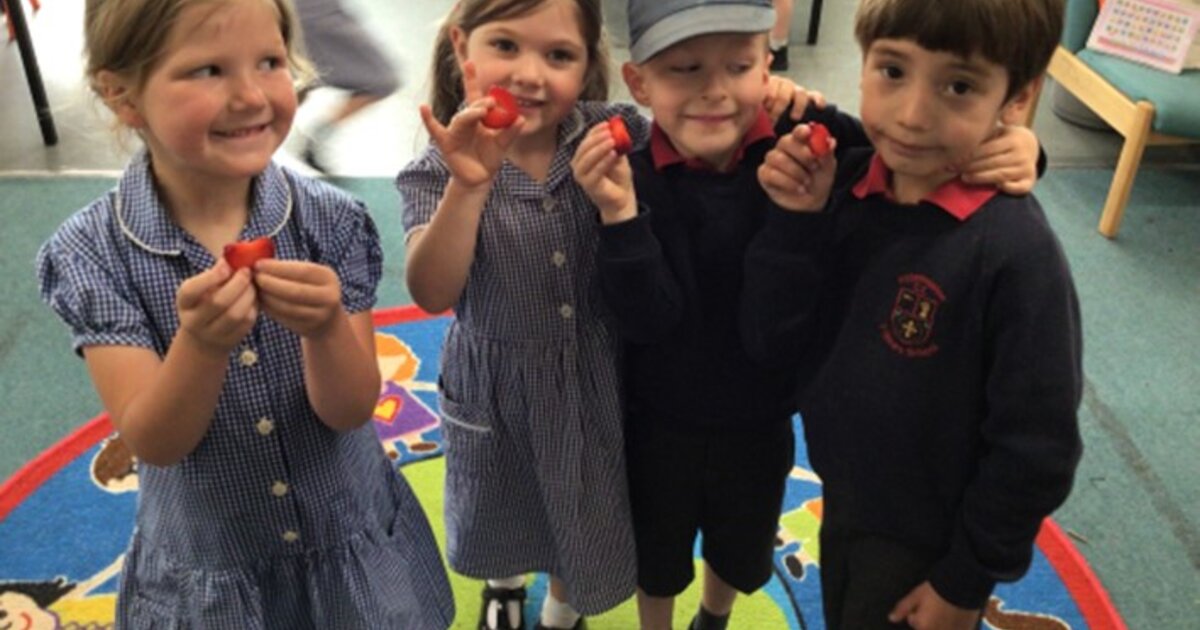 Strawberry Harvest | Aldermaston CE Primary School