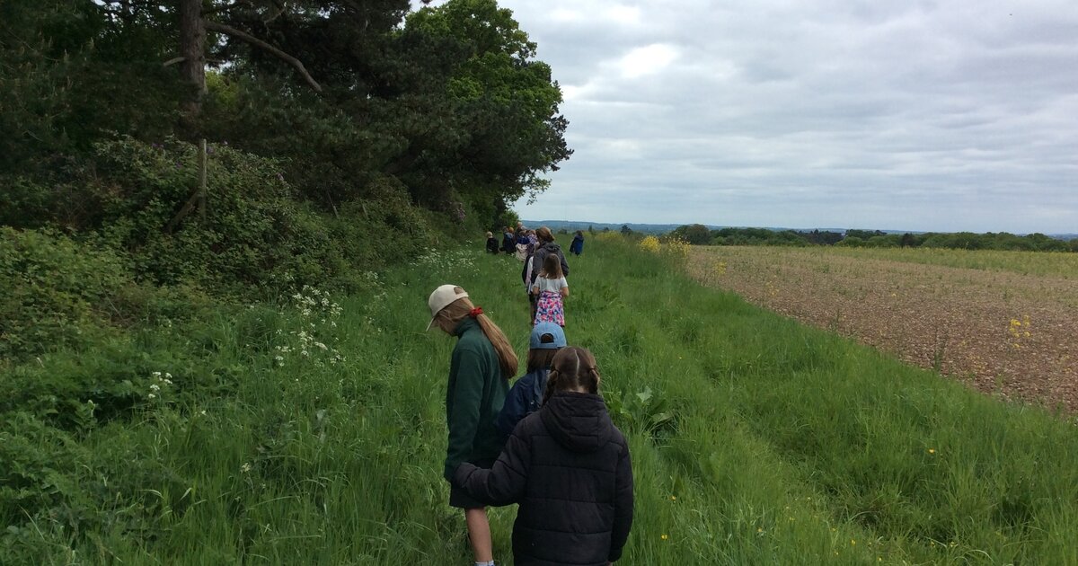 Class 4 Packington Farm Trip 2025 | Anson CE Primary School