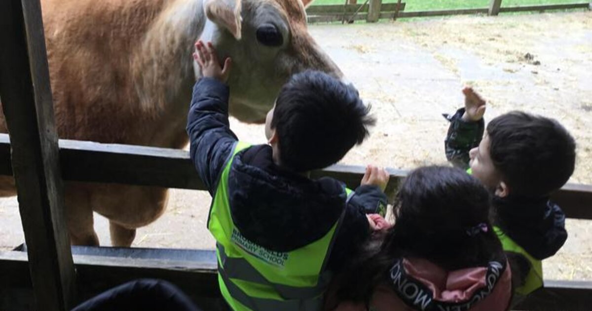 Reception Trip- Ash End Farm | Brookfields Primary School