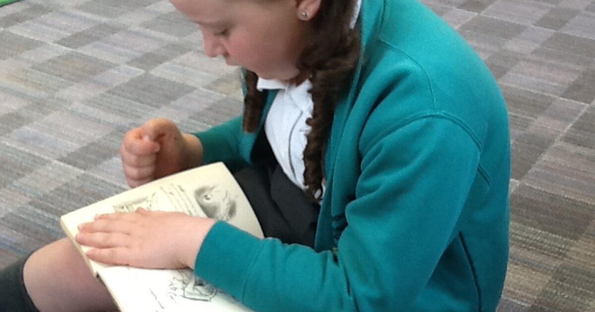 Y2 - Reading for Pleasure (Library Visit) | Brookside Primary School