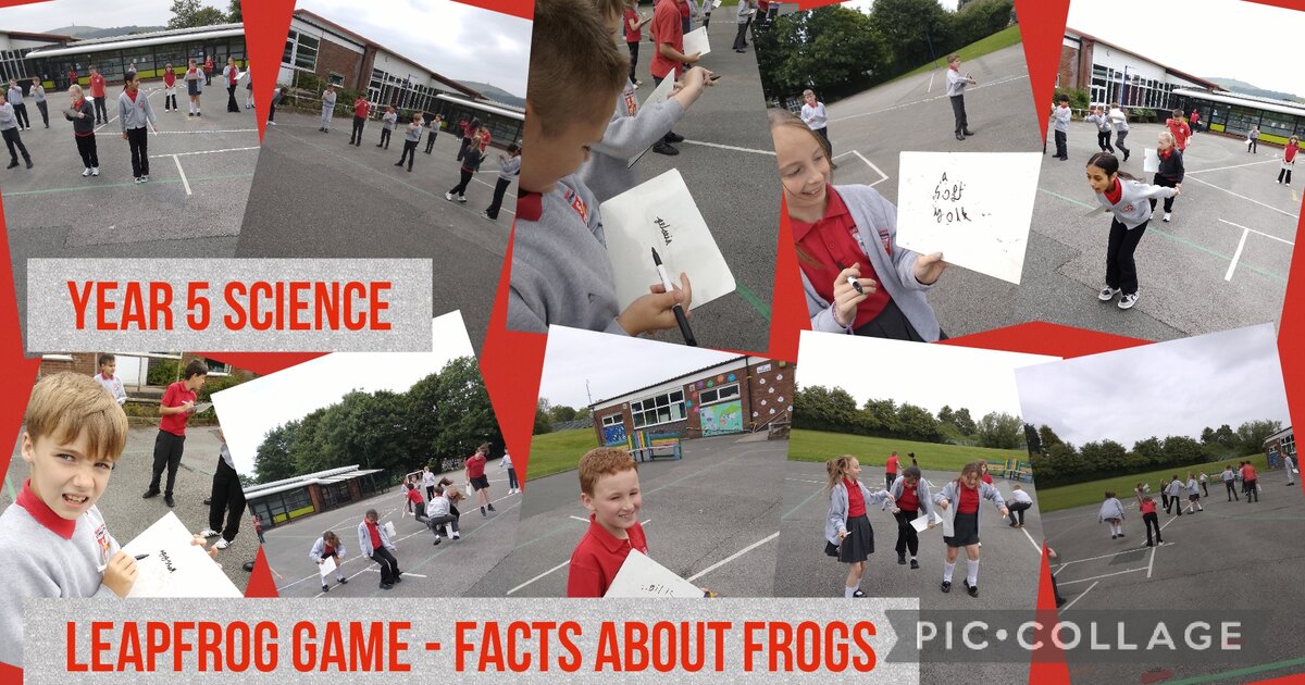 Year 5 Science - Leapfrog Game: Facts about Frogs | Darwen St James’ C ...