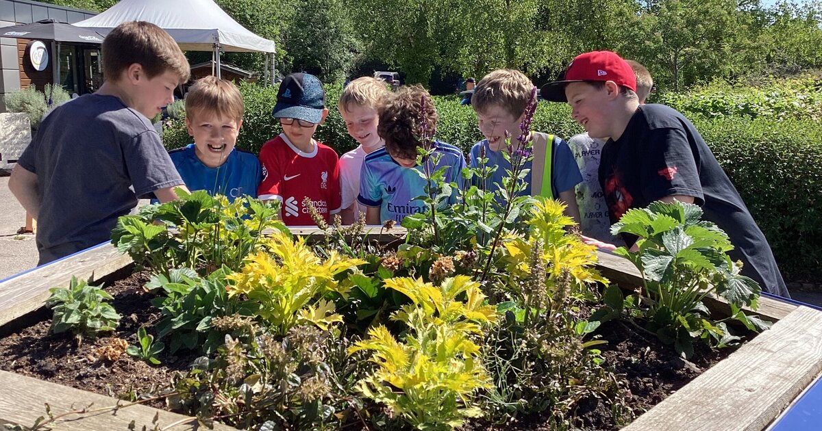 Year 6 enjoyed a day at Astbury Mere | Daven Primary School