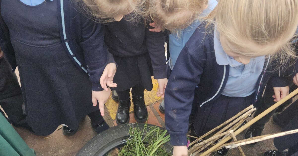 Reception- Dinosaur egg discovery | Delph Side Community Primary School