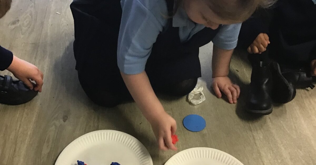 Reception- matching, sorting and comparing size | Delph Side Community ...