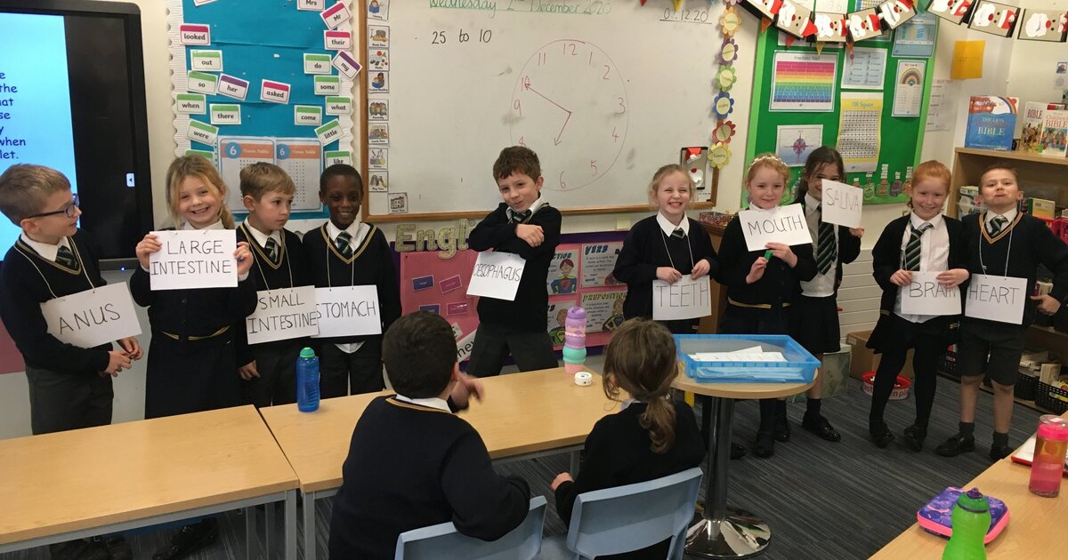 Festive Digestive | Heyhouses Endowed C.E. Primary