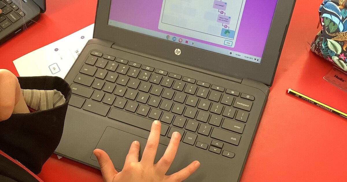 Creating branching databases | The Howard Primary School