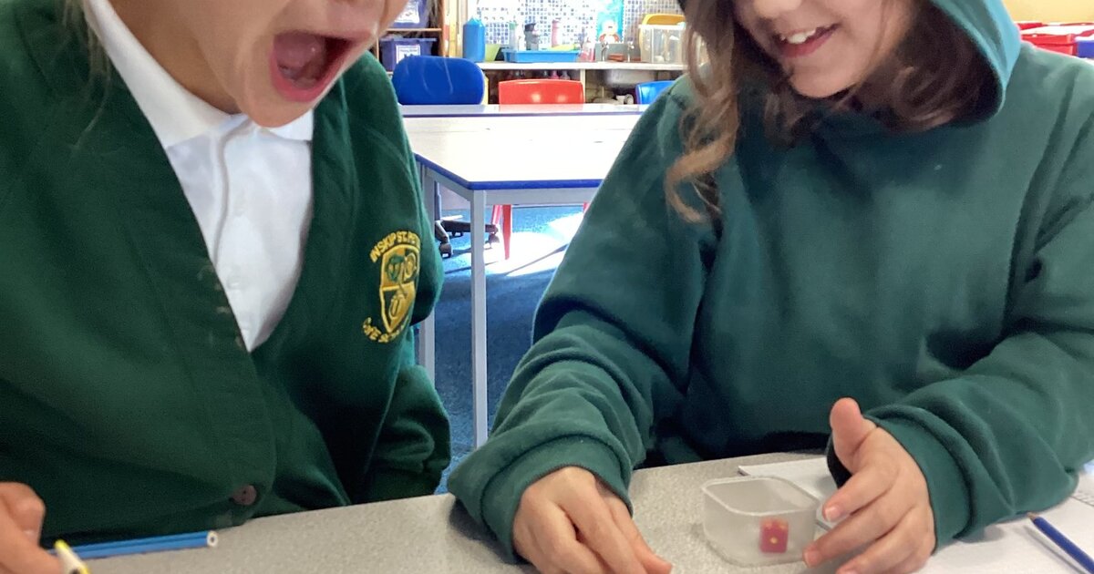 Negative Number Race! | Inskip St Peter's C of E (Aided) Primary School