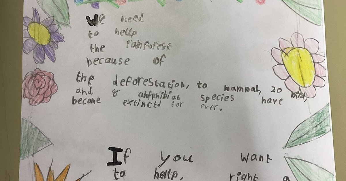 Stop the Destruction of the Rainforest! | Inskip St Peter's C of E ...