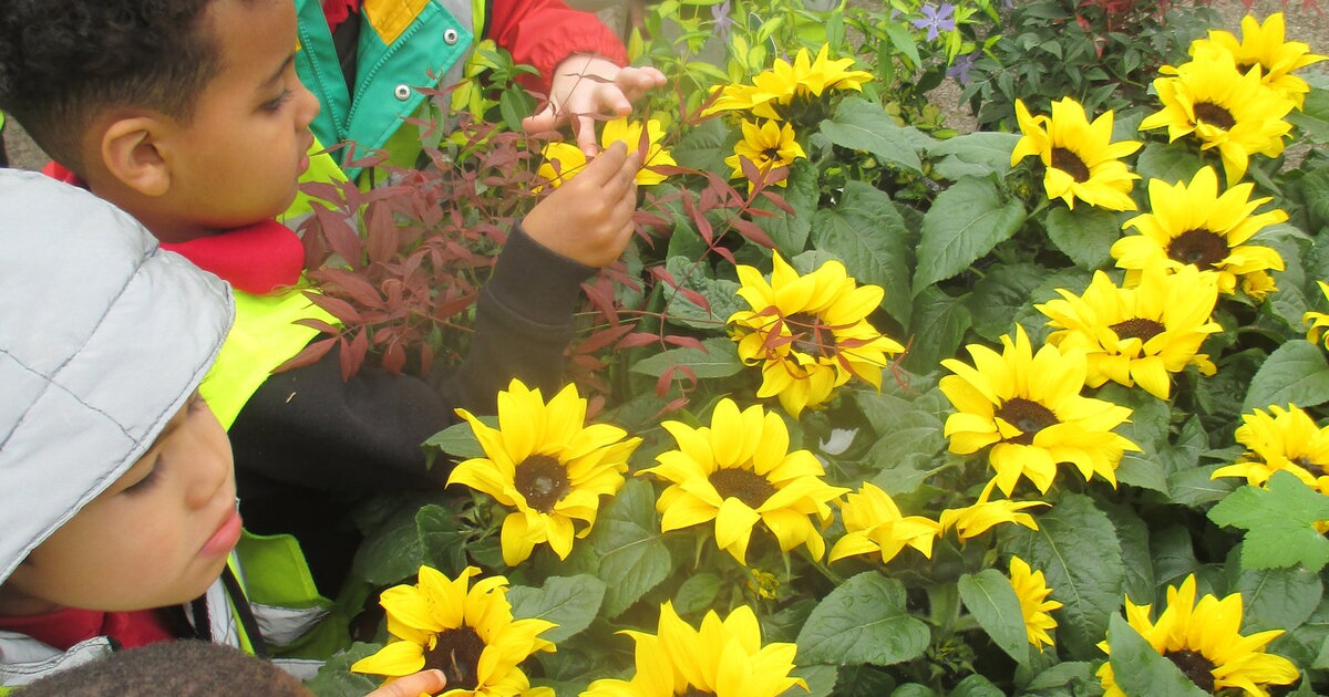 Nursery Term 5 Week 1 | Moredon Primary and Nursery