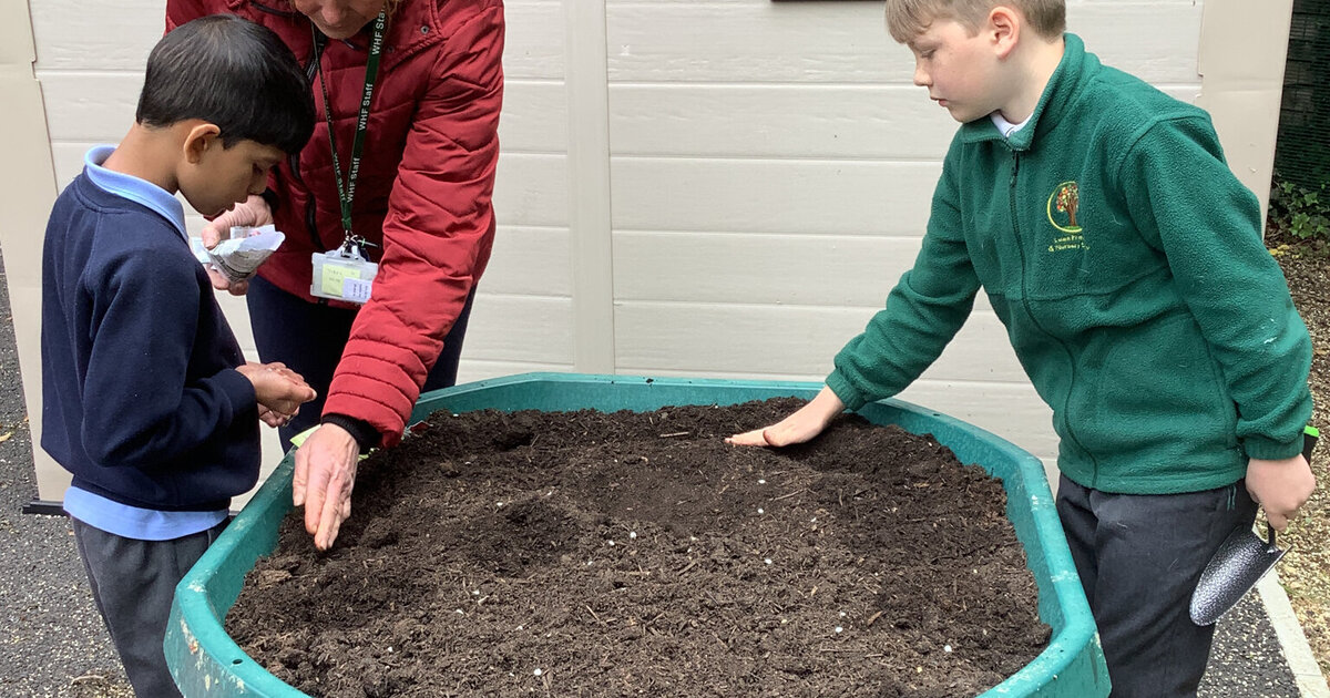 Term 5 - Rainbow class PRU | Nyland School