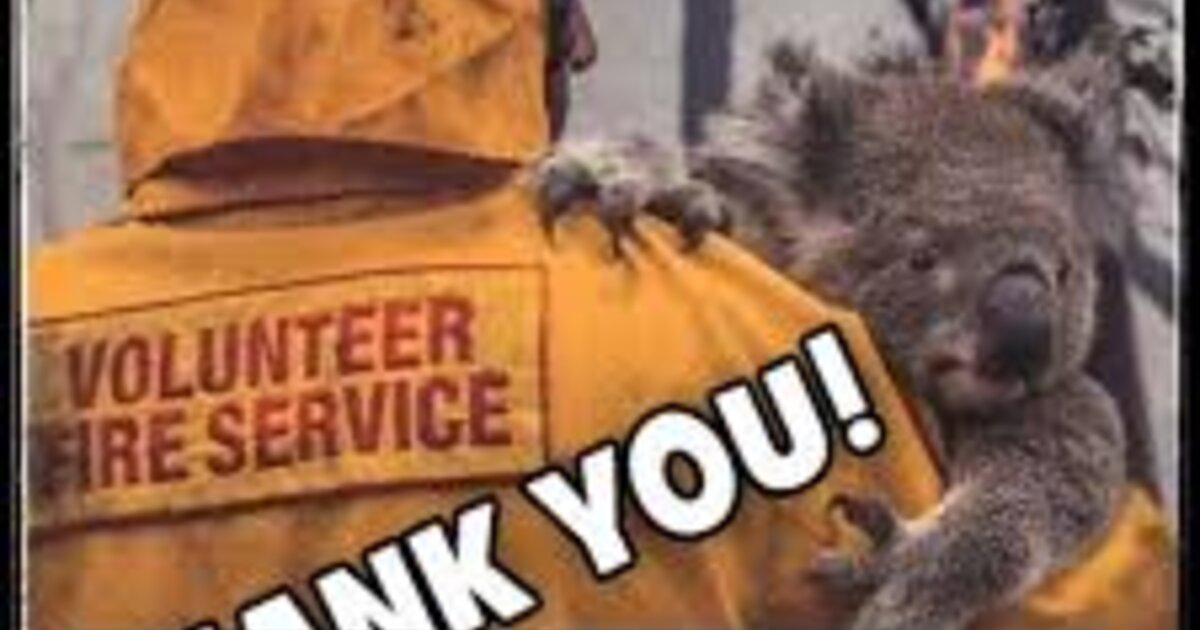 Australian Fire Relief Fundraiser - Colouring Competition | Richard ...