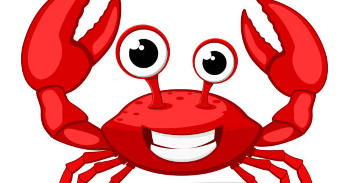 Exploring rockpool treasures | Roseberry Academy