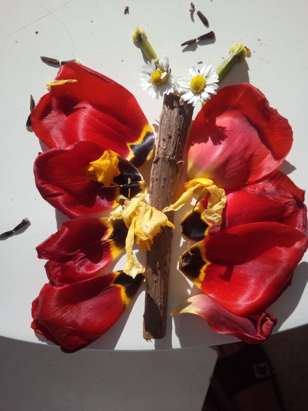 Transient Art Activity | Roseberry Academy