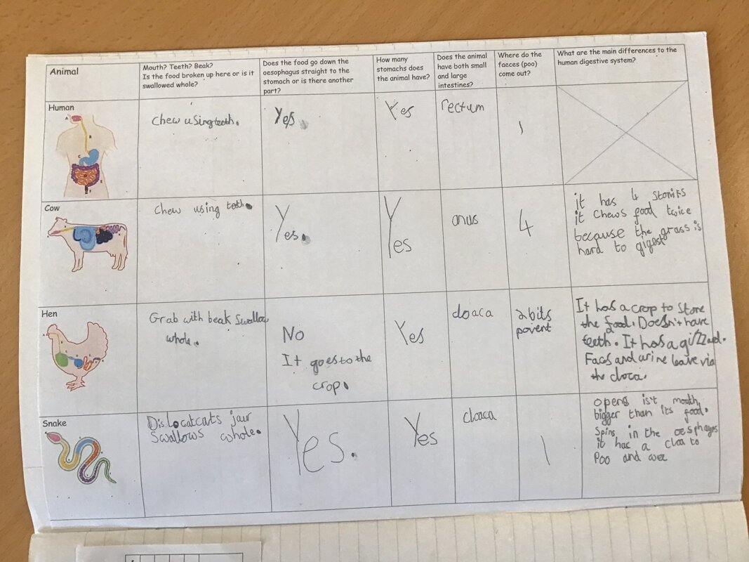 The Story of the Little Mole... | Roseberry Academy