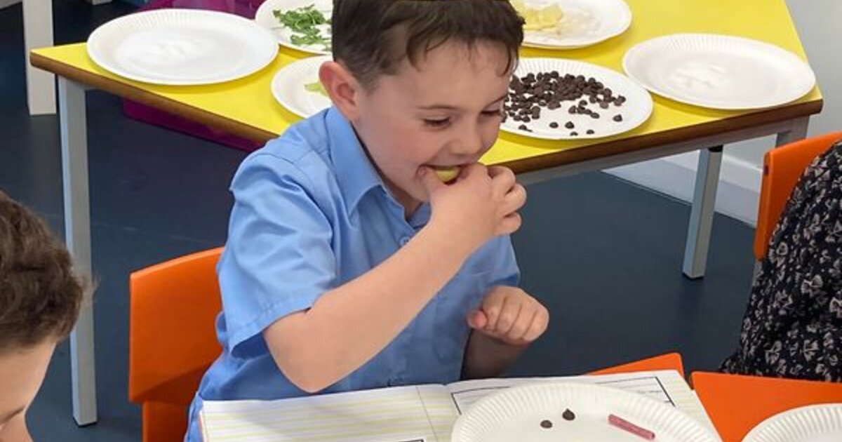 Year 1 Science Investigation - 'Senses' | Sinai Jewish Primary School