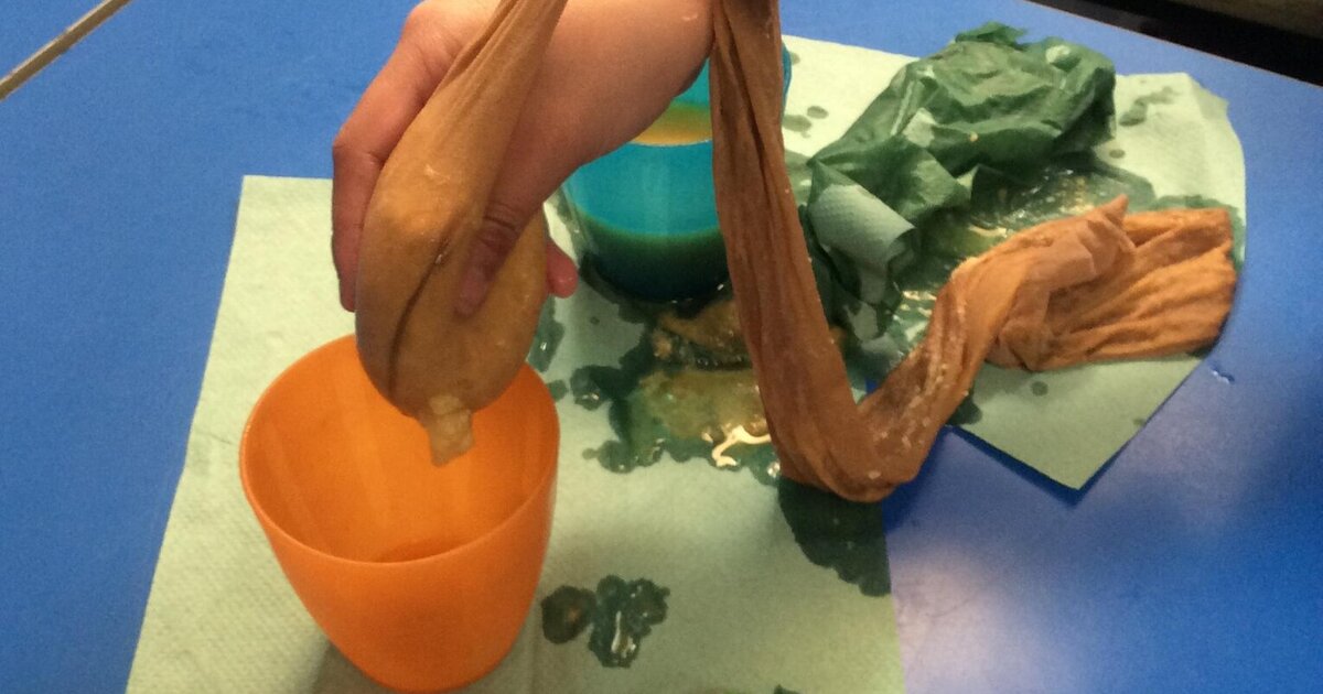 Year 4 scientists got hands-on with the digestive system today! Using ...