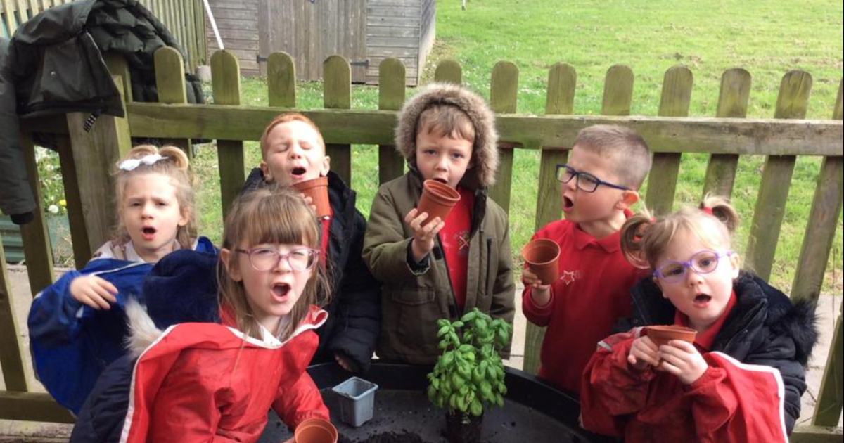 The Enormous Turnip! | St. Andrew's CE Primary School