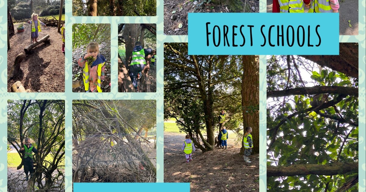 Reception: Forest Schools | St Barnabas Primary School, A Church of England Academy