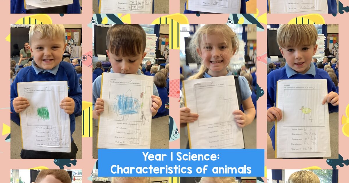Year 1 Science: Characteristics of animals | St Barnabas Primary School ...