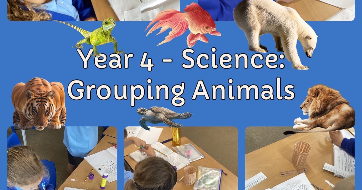 Year 4 - Science: Grouping Animals | St Barnabas Primary School, A ...