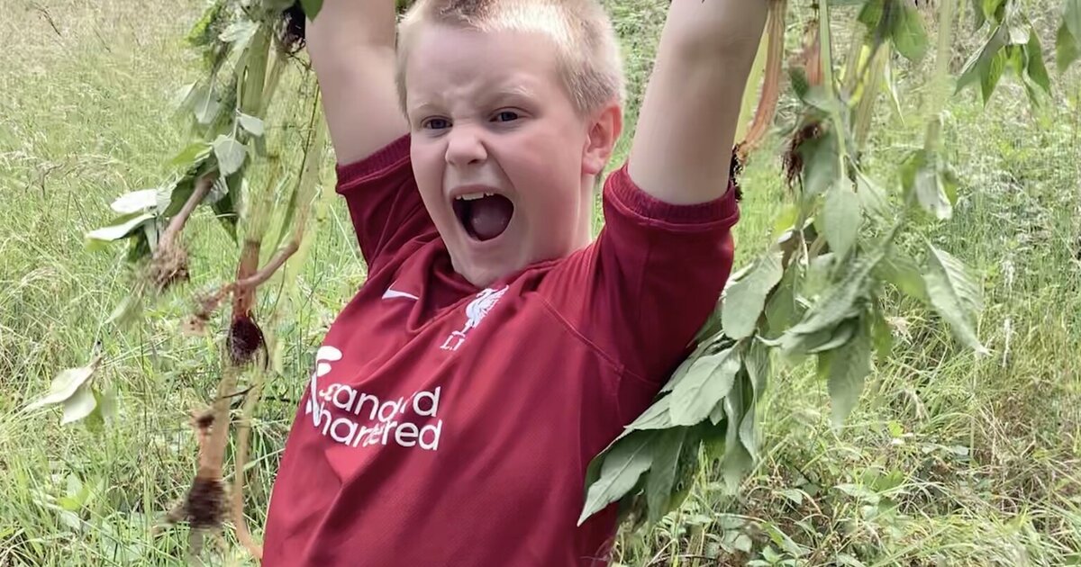 Himalayan Balsam Pulling | St Bridget's Catholic Primary School