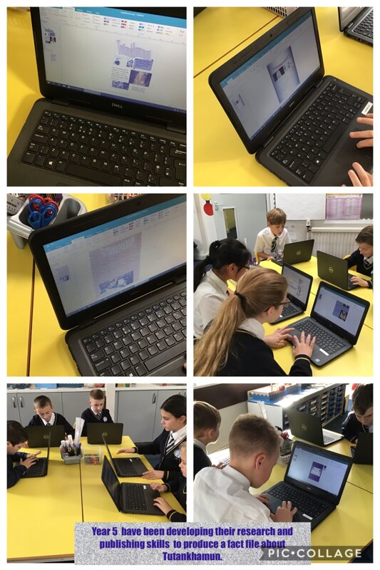 Year 5 fact files | Stokesley Primary Academy