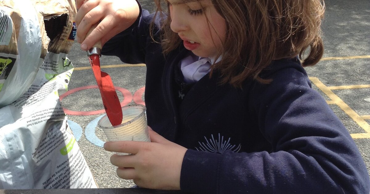 P4 The Elements | Tor View School