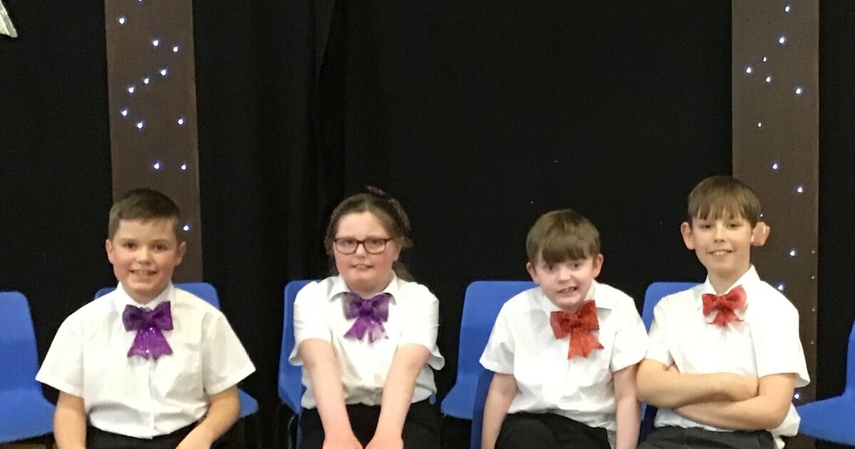 Stable by Starlight | Tor View School