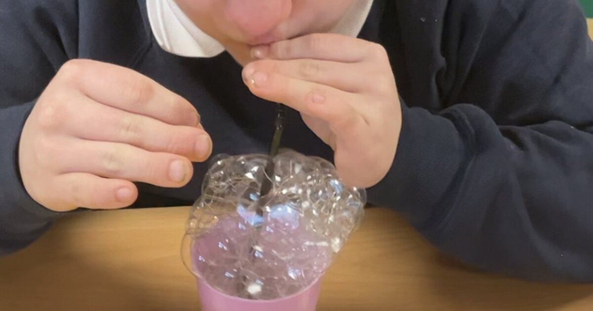 3ST Science | Tor View School