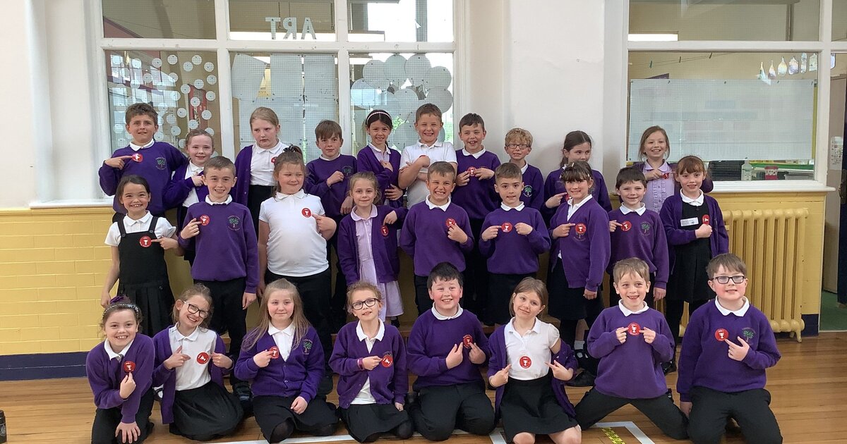 Year 1 Cress Heads | Trawden Forest Primary School