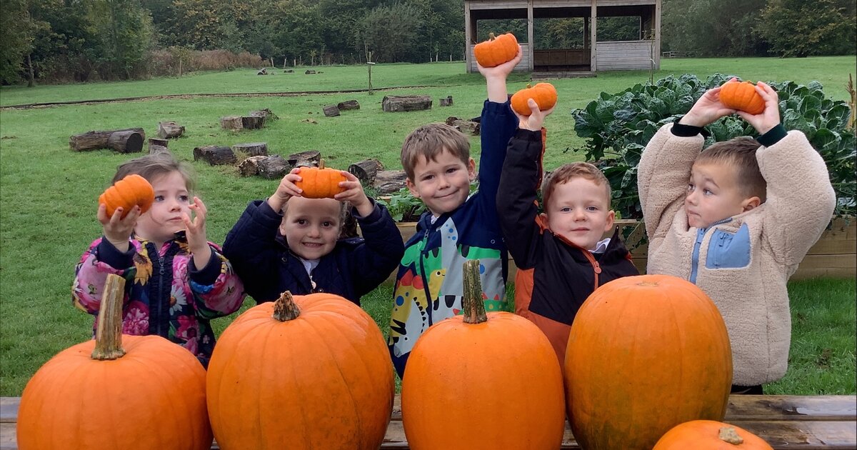 Pumpkin Harvest Time for our Reception Class Garden Gang | Trawden Forest Primary School