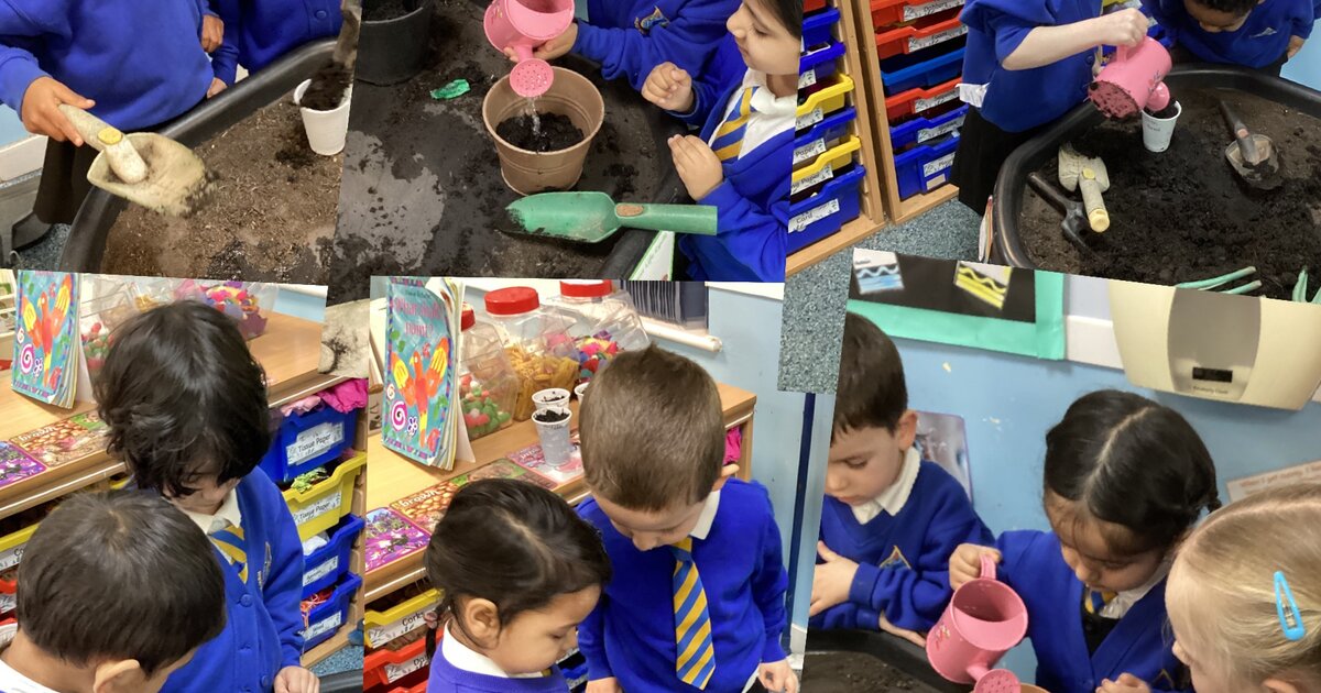 How to Plant a Seed | Waterside Primary School