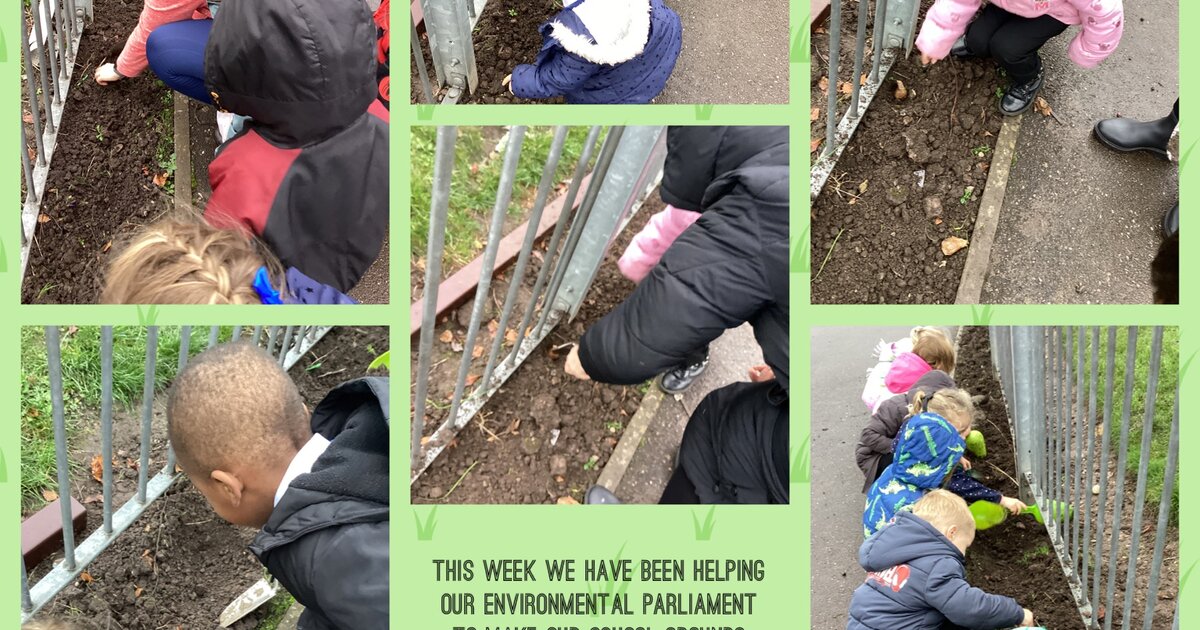 Planting Bulbs | Waterside Primary School
