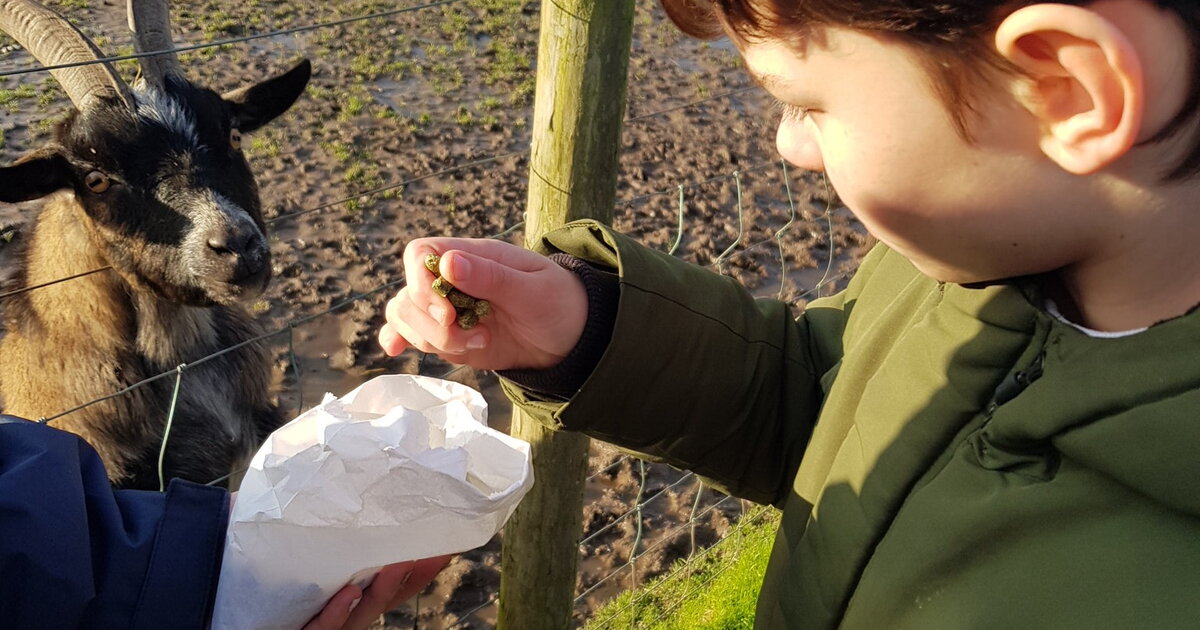 Apple Cast Farm visit KS3S | West Lancashire Community High School