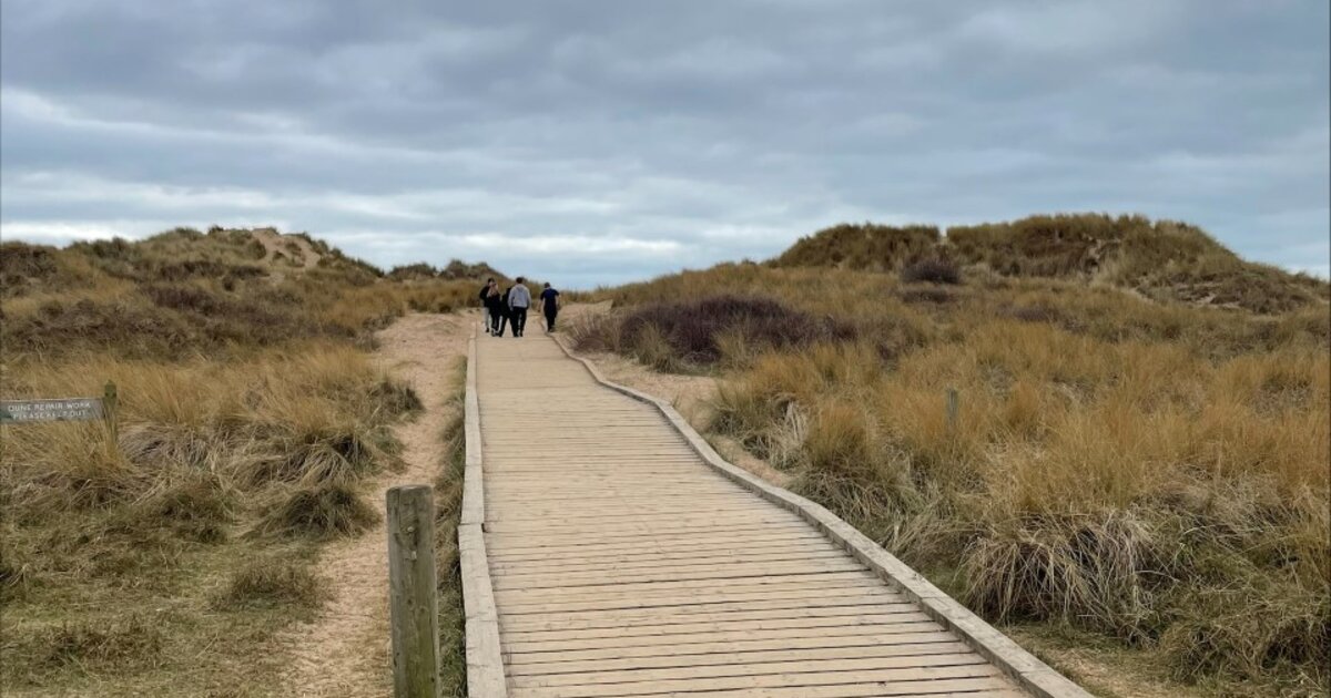 KS3 at Formby Beach - Coastal Features and Wellbeing | Willow Bank School